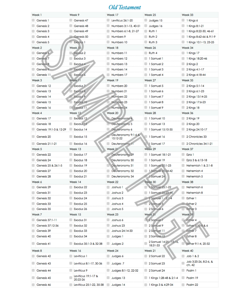 Bible Drawing Notebook (Old Testament) – Proverbial Homemaker