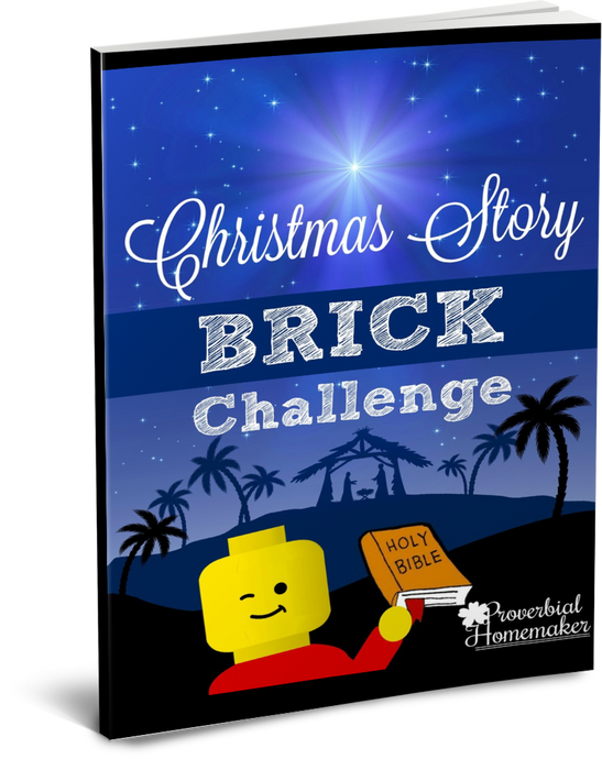 Proverbial Homemaker Store